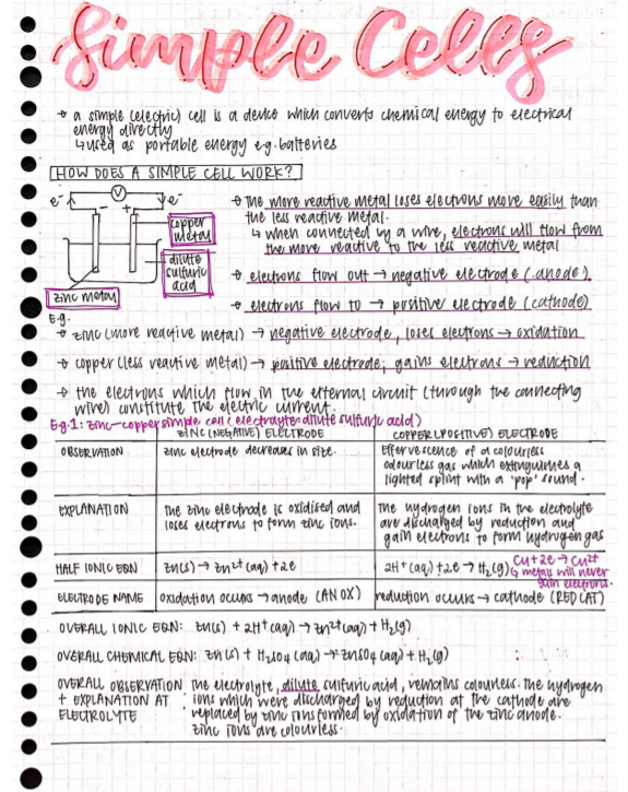 SmartGuppy Simple Cells Upper Sec 